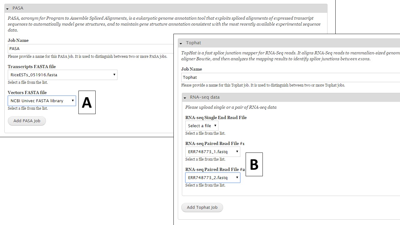 Align Tab | GenSAS v6.0