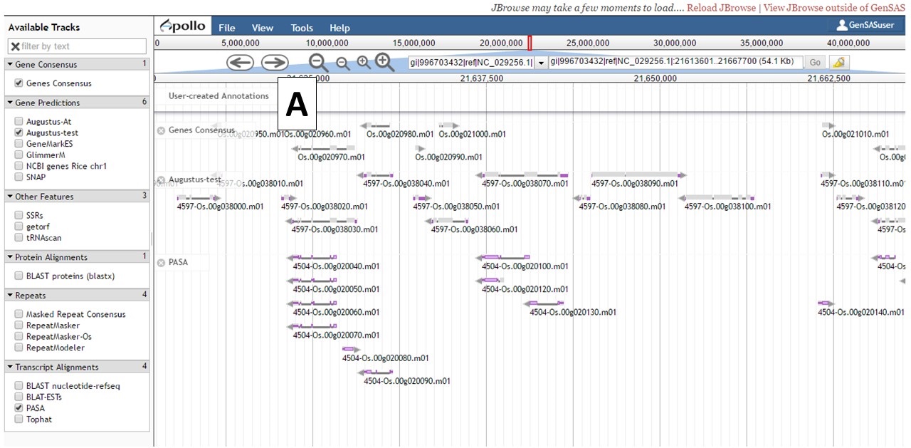 Annotate Tab | GenSAS v6.0